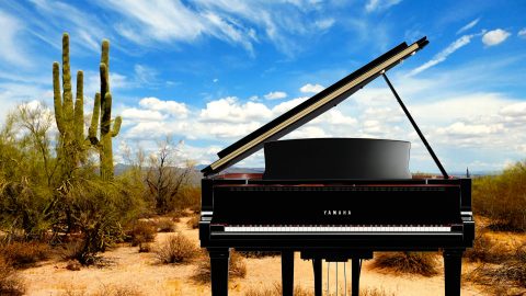 Should You Put a Humidifier System on Your Piano? - Riverton Piano Blog